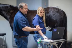 Rebates | Countryside Equine Hospital