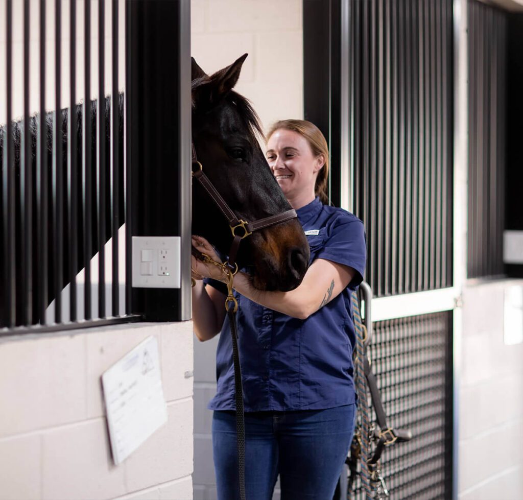 Equine Veterinary Hospital in Covington, GA | Countryside Equine Hospital