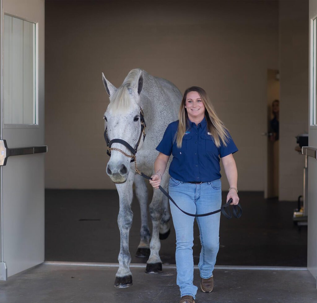 Equine Veterinary Hospital in Covington, GA | Countryside Equine Hospital